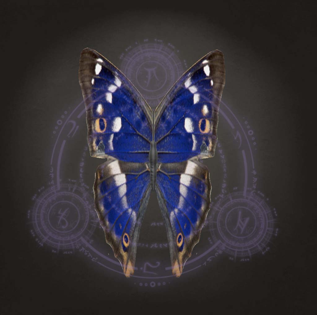 Ward Effect on Butterfly | Papillon Archives 2.0