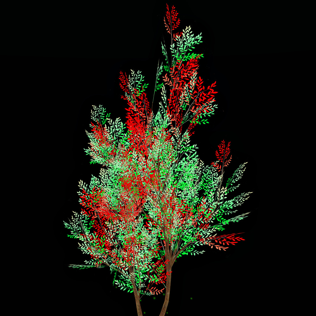 Watermelon Bonsai | Papillon Archives 2.0