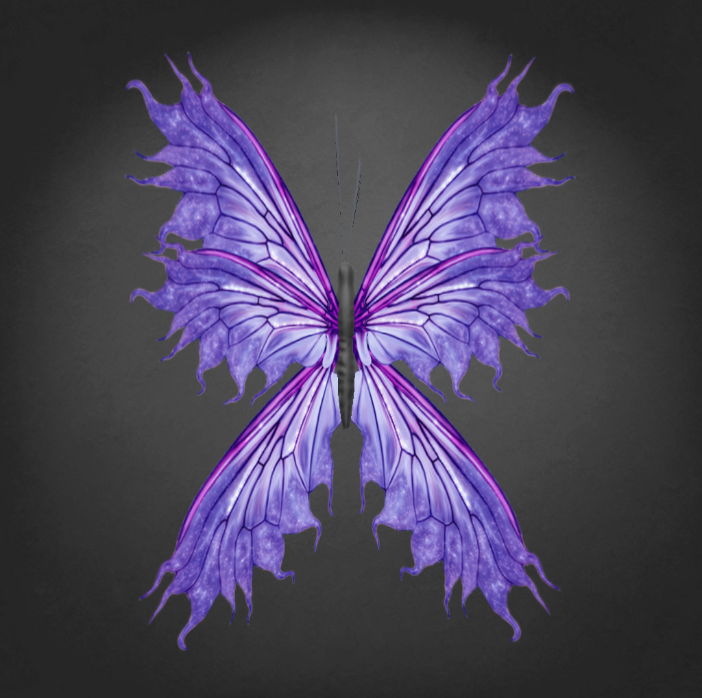Periwinkle Wing Butterfly | Papillon Archives 2.0