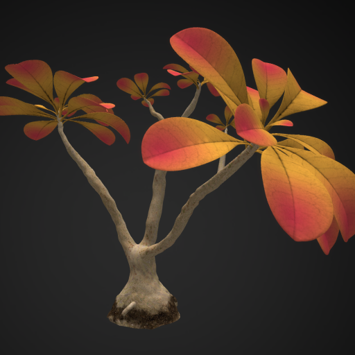 TipsA | Papillon Archives 2.0