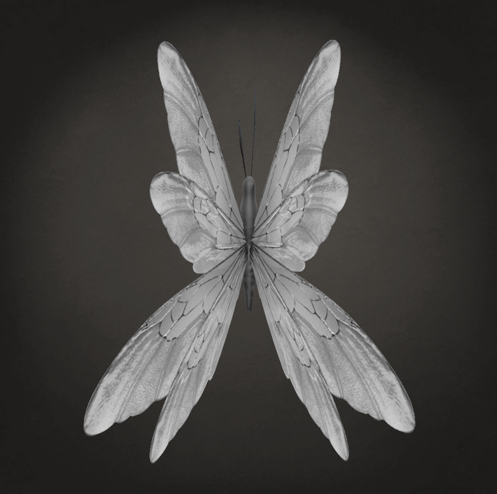 Silver Wing Butterfly | Papillon Archives 2.0