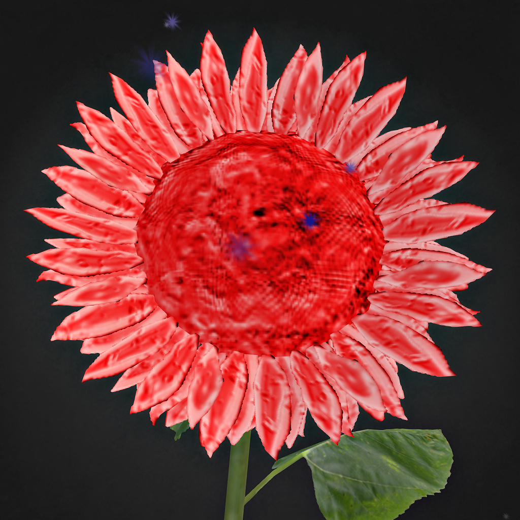 Ruby Sunflower | Papillon Archives 2.0