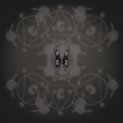 Hex Effect Butterfly | Papillon Archives 2.0