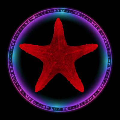 CircleAQ Starfish | Papillon Archives 2.0